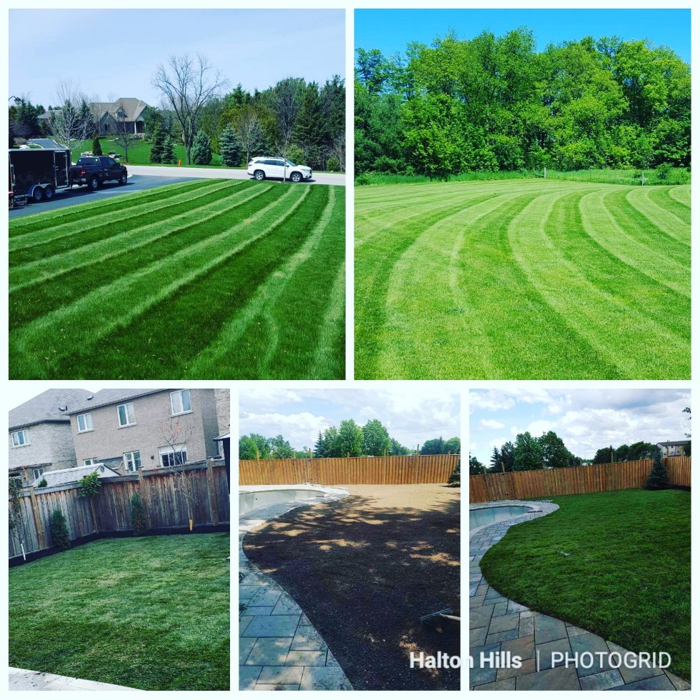 GALLERY | HH Property Maintenance